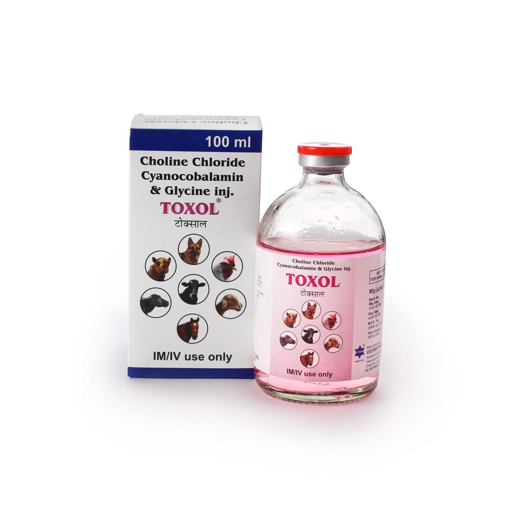 Choline Chloride Cyanocobalamin Glycine inj. TOXOL 100 ml - Vesper Online